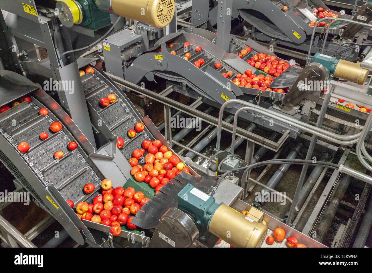Fruit Sorting Grading High Resolution Stock Photography and Images - Alamy