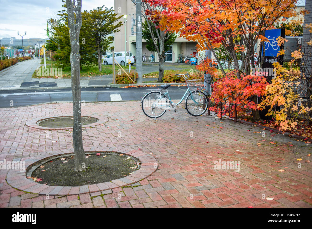 Autumn in Kitami, Hokkaido, Japan Stock Photo - Alamy