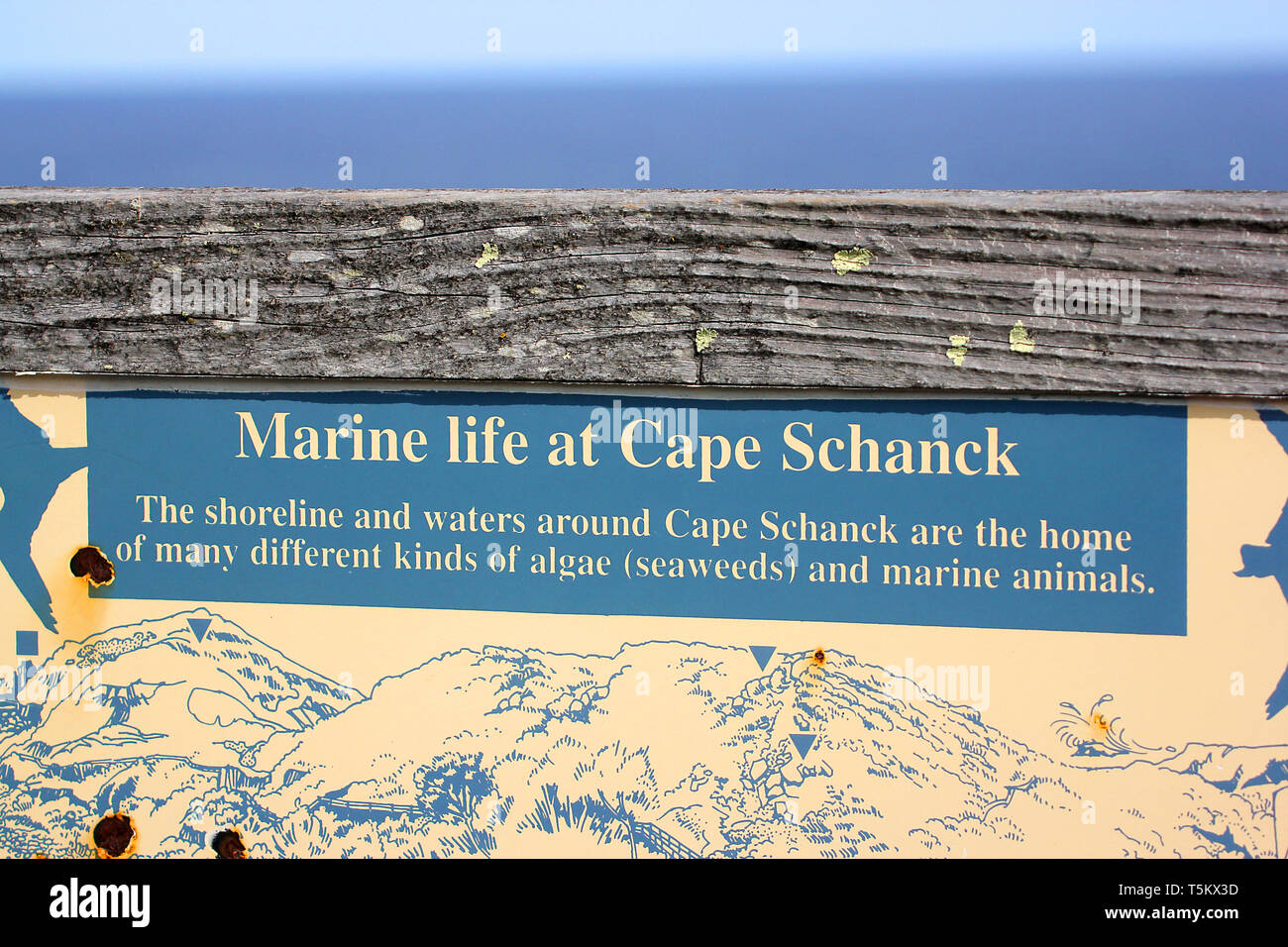 Cape Schank on Morningside Peninsula is a popular tourist destination ...