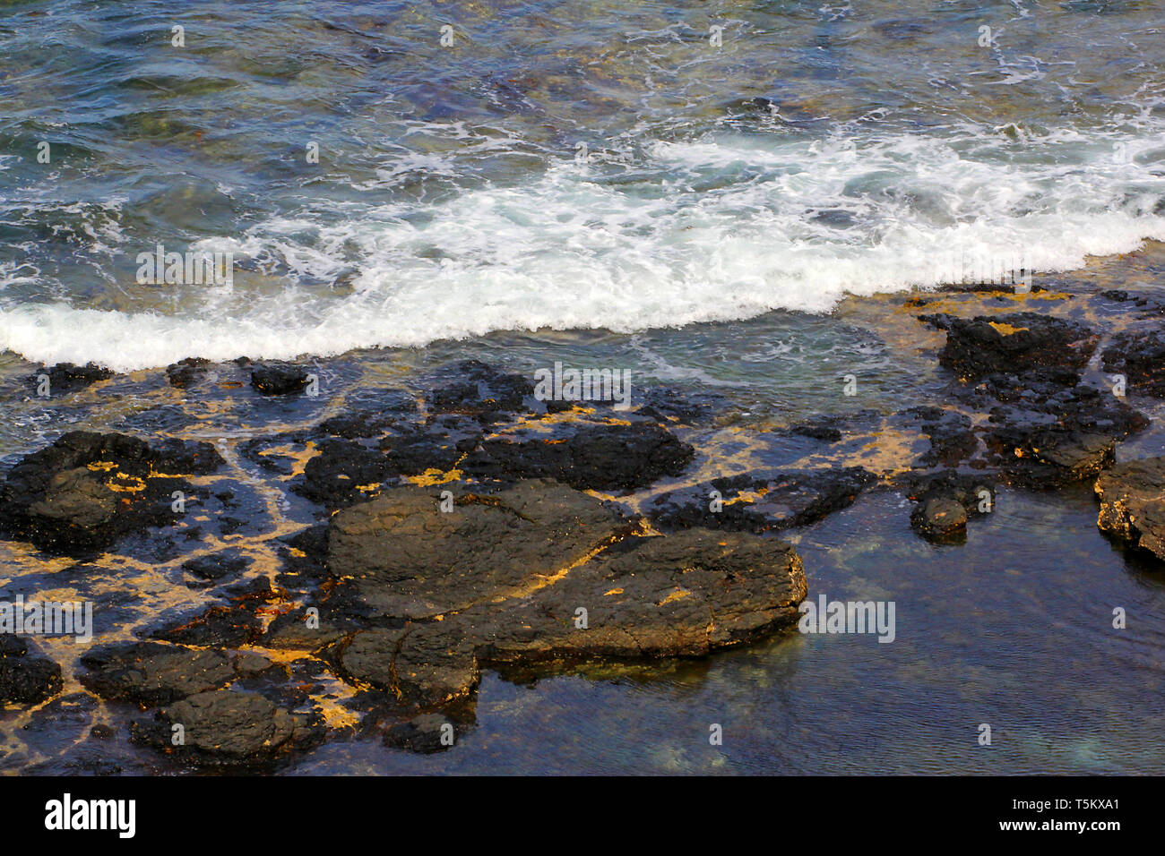 Morningside peninsula hi-res stock photography and images - Alamy