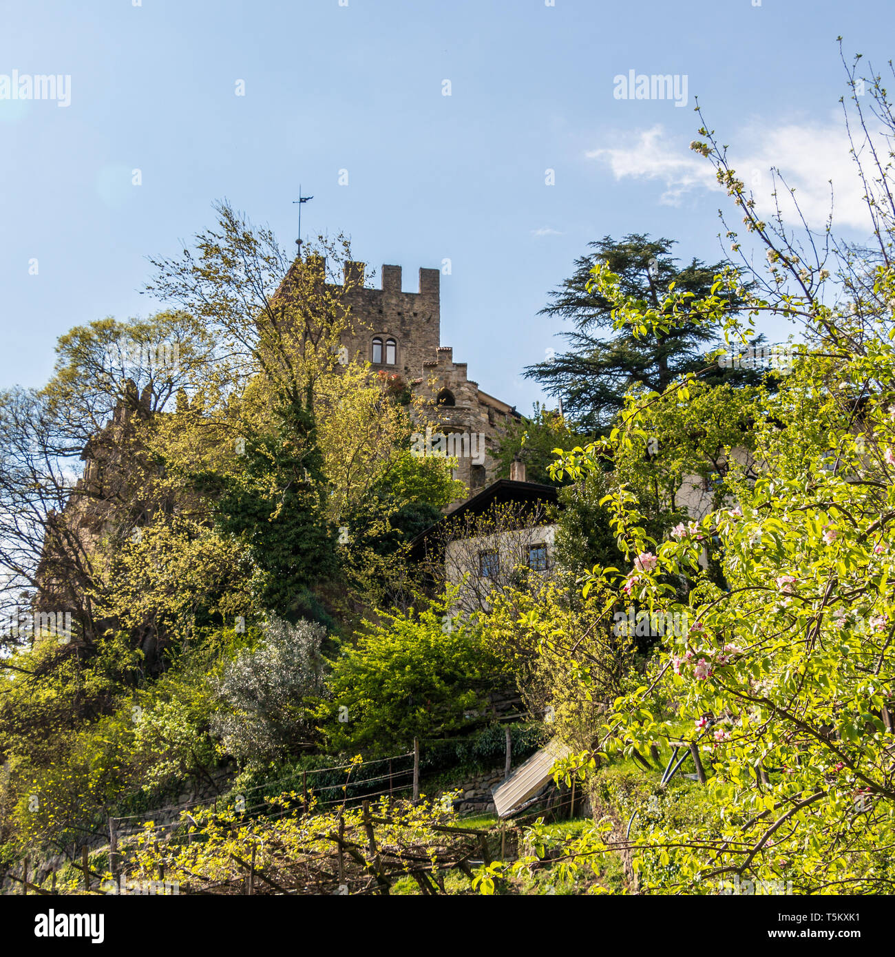Detail view on Castle Brunnenburg between a green landscape. Tirol ...