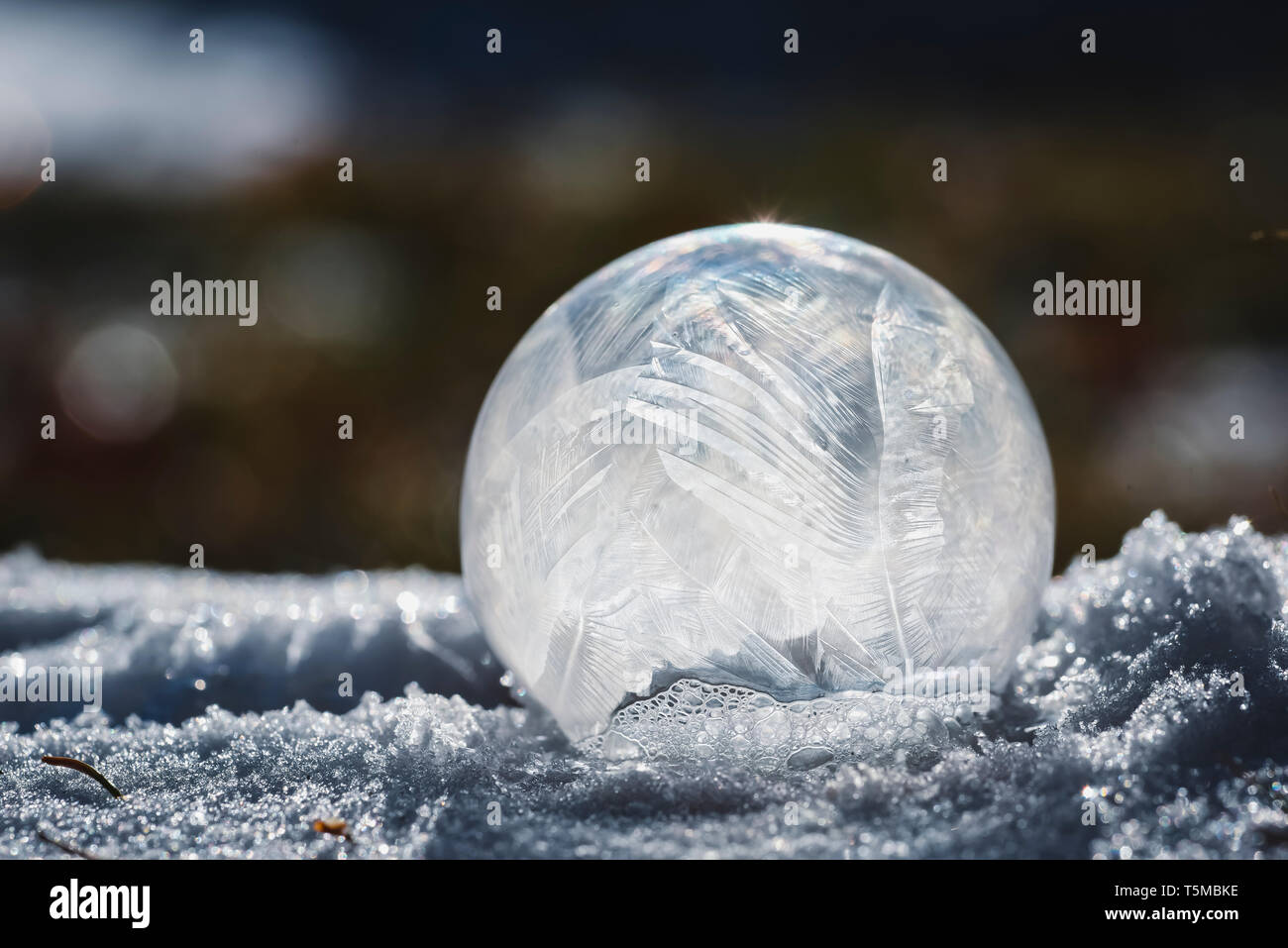 Close up of frozen soap bubble on the snowy ground outside in winter ...