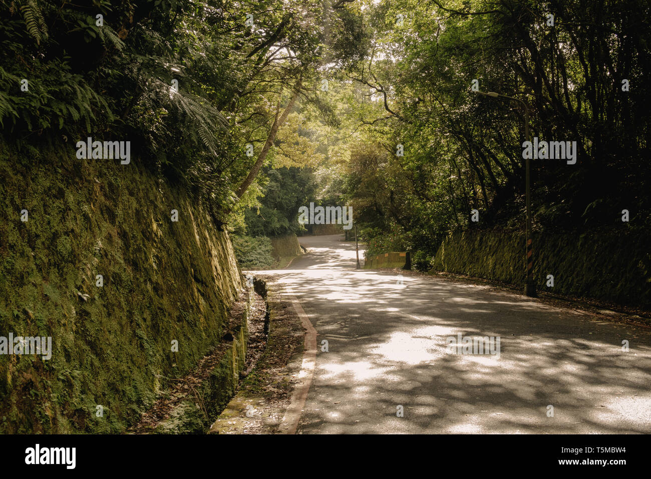 Winding road at sunset hi-res stock photography and images - Alamy