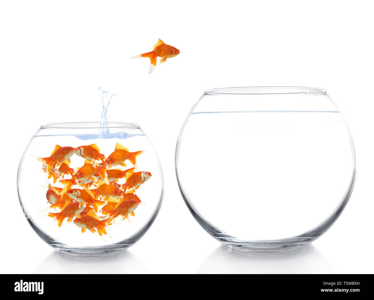 Moving meeting Cut Out Stock Images & Pictures - Alamy