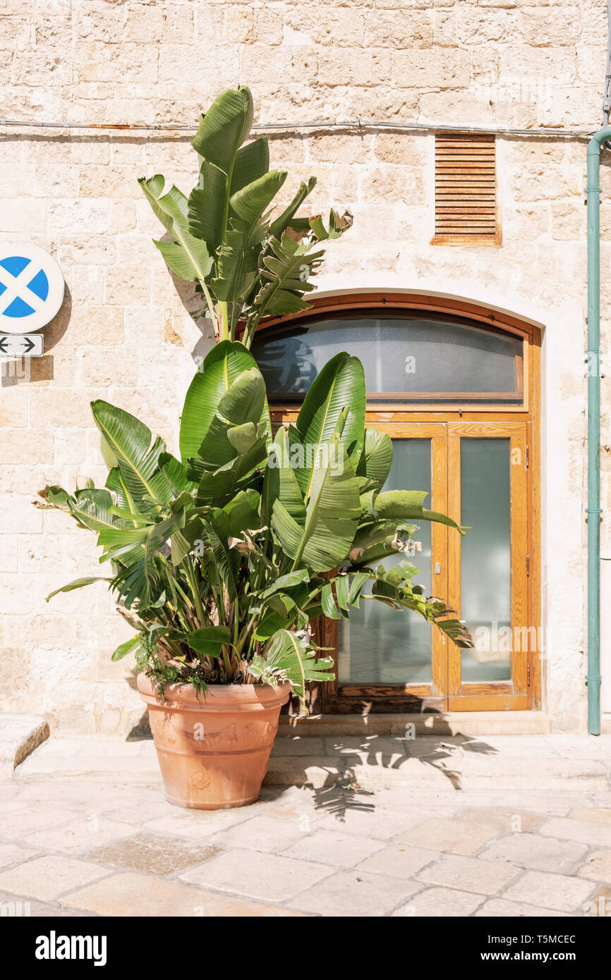 Houseplant garden hi-res stock photography and images - Alamy