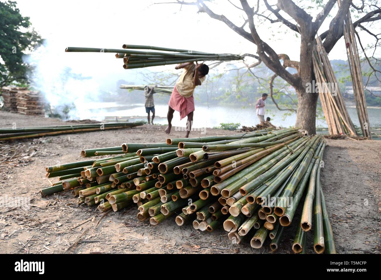 Bamboo workers hi-res stock photography and images - Alamy