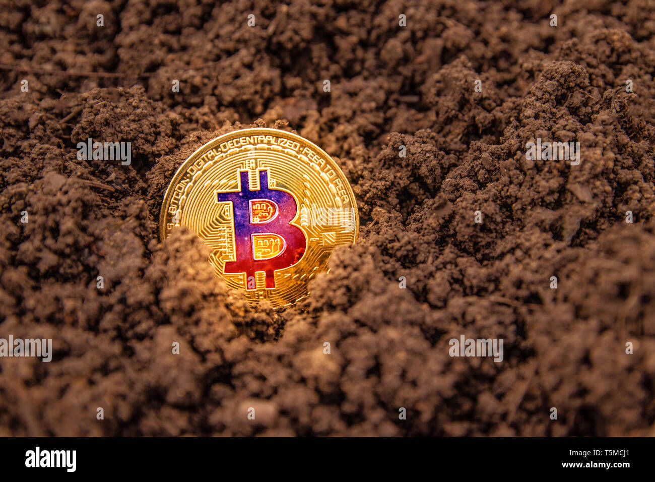 Bitcoin coin in the ground, treasure. Close-up of a golden bitcoin ...
