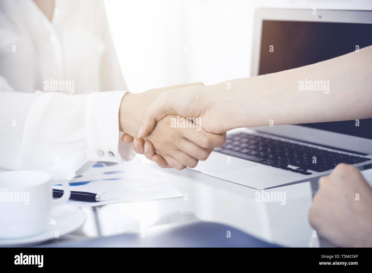 Business handshake. Two women shaking hands after meeting or ...