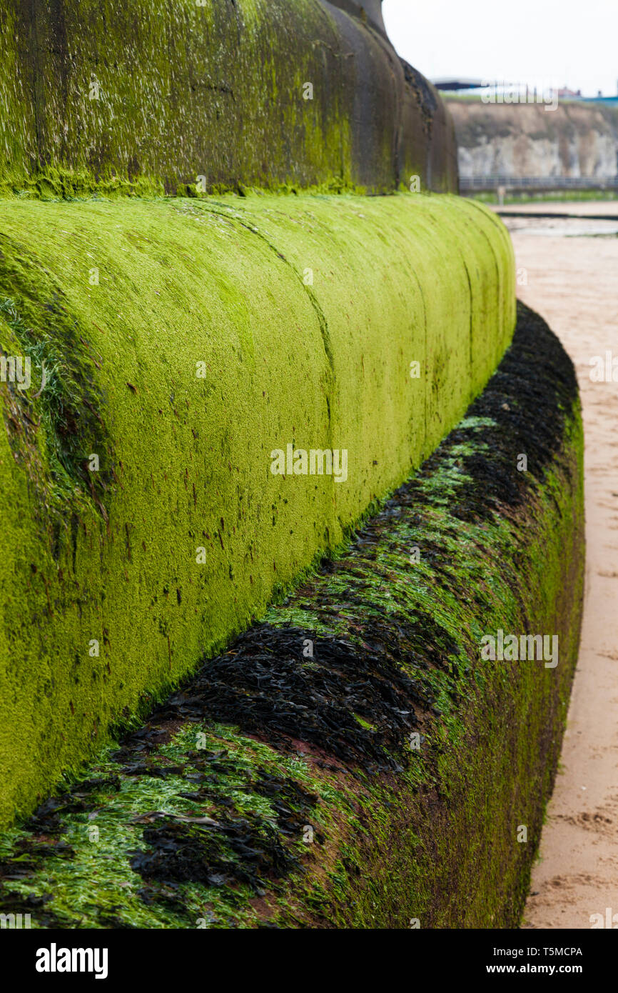 Sea wall, Walpole Bay, near Margate, Kent, UK Stock Photo - Alamy