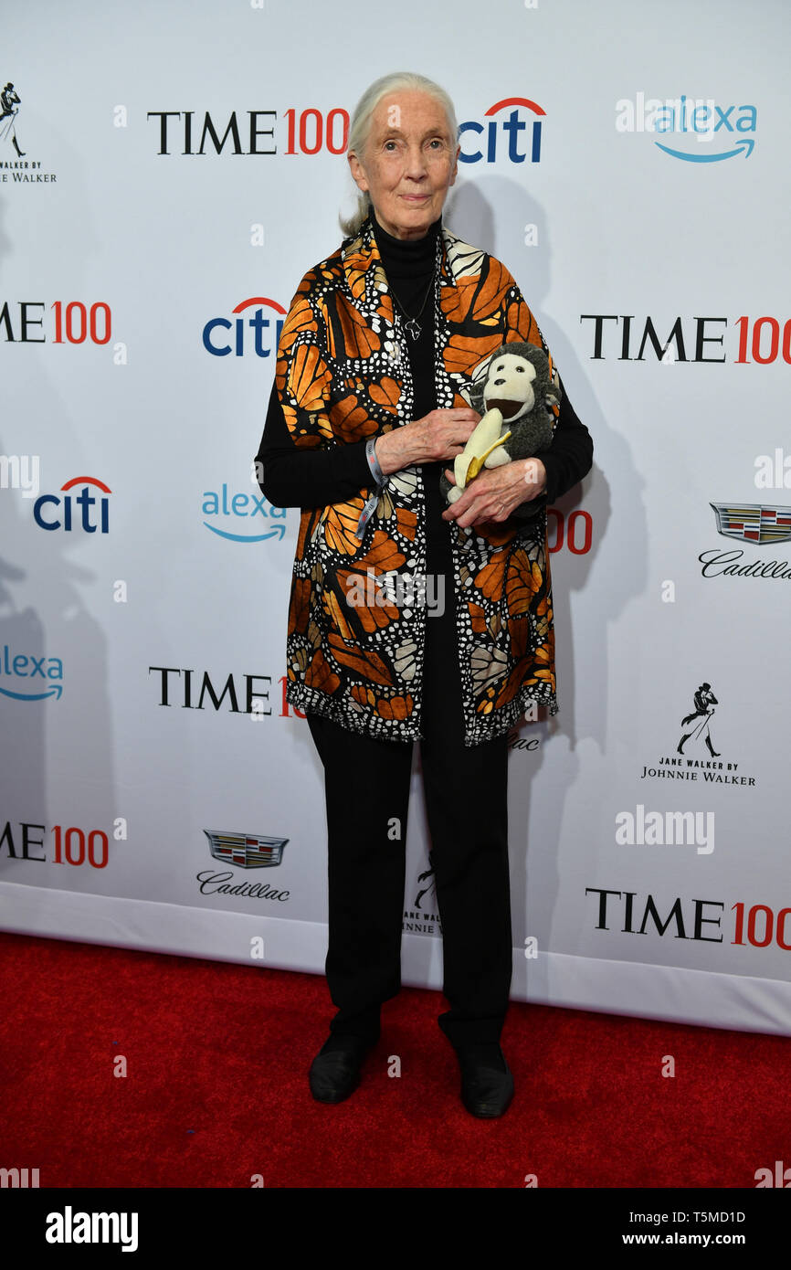 Jane warner hi-res stock photography and images - Alamy