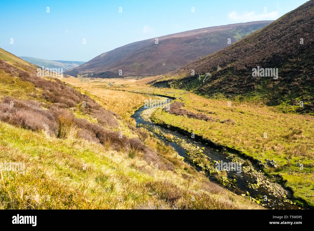 Brook forest hi-res stock photography and images - Alamy