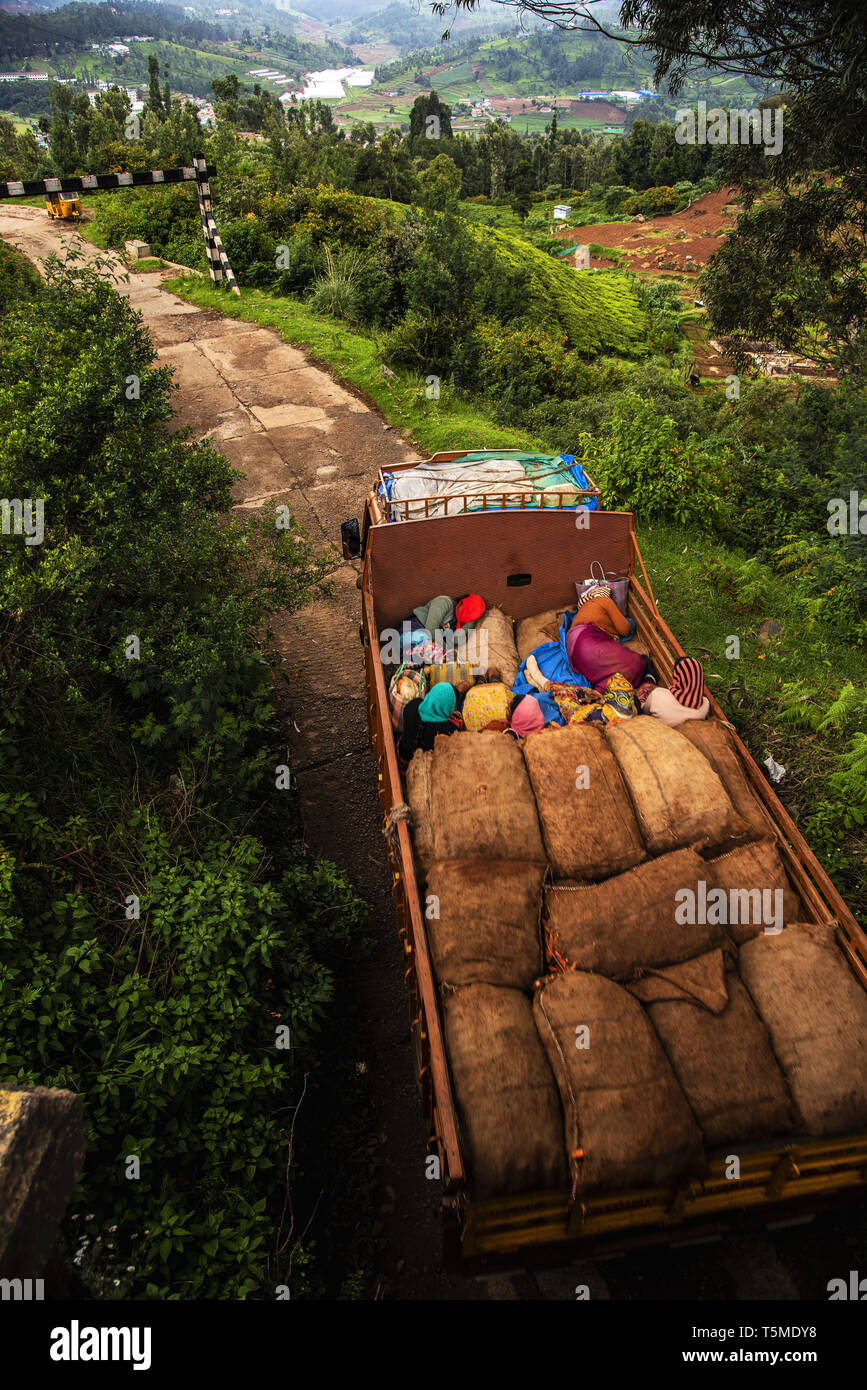 workers traveling in the back of an open flatbed truck Stock Photo - Alamy