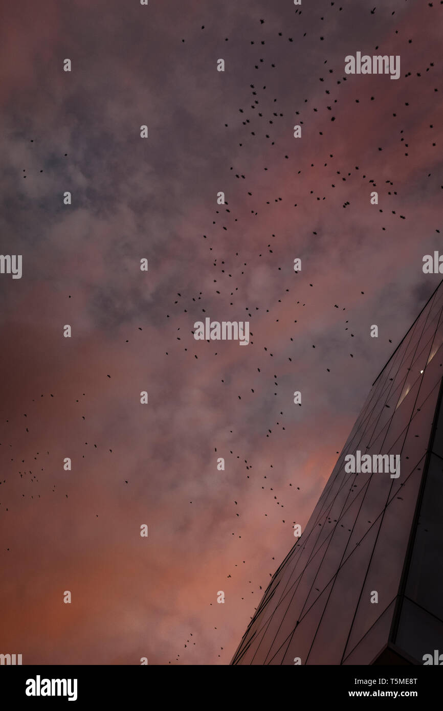 Skyscraper clouds hi-res stock photography and images - Alamy