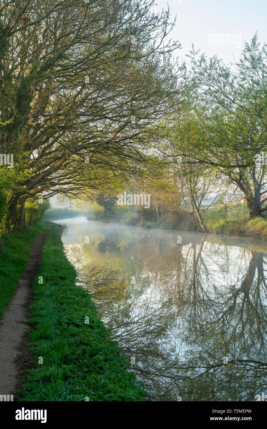 Spring trees reflecting in the oxford canal opposite the longford park ...