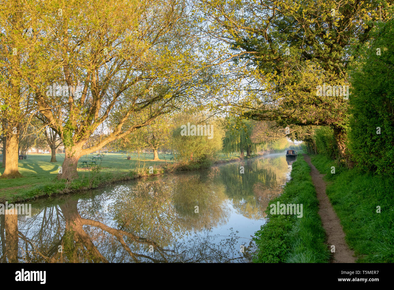 Spring trees reflecting in the oxford canal. Banbury, Oxfordshire ...