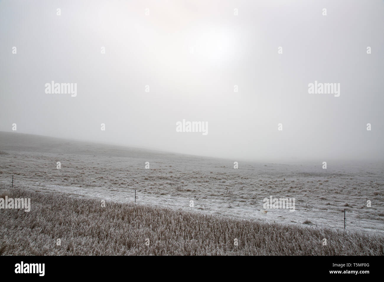 Ice fog hi-res stock photography and images - Alamy