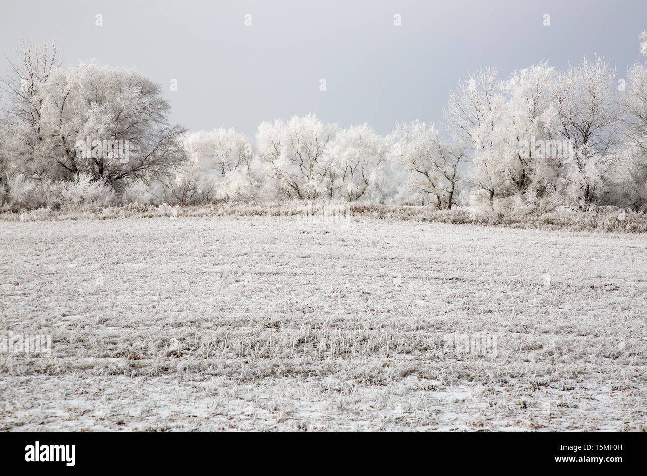 North dakota farmland hi-res stock photography and images - Alamy