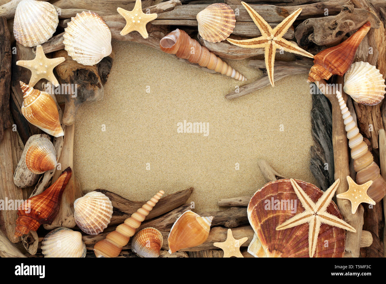 Abstract seashell and driftwood background border on beach sand with ...
