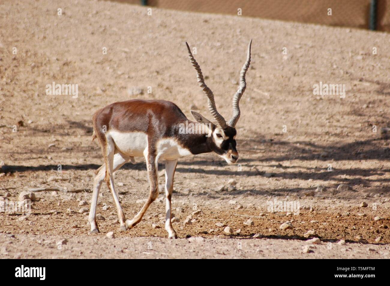 White desert of pakistan hi-res stock photography and images - Alamy