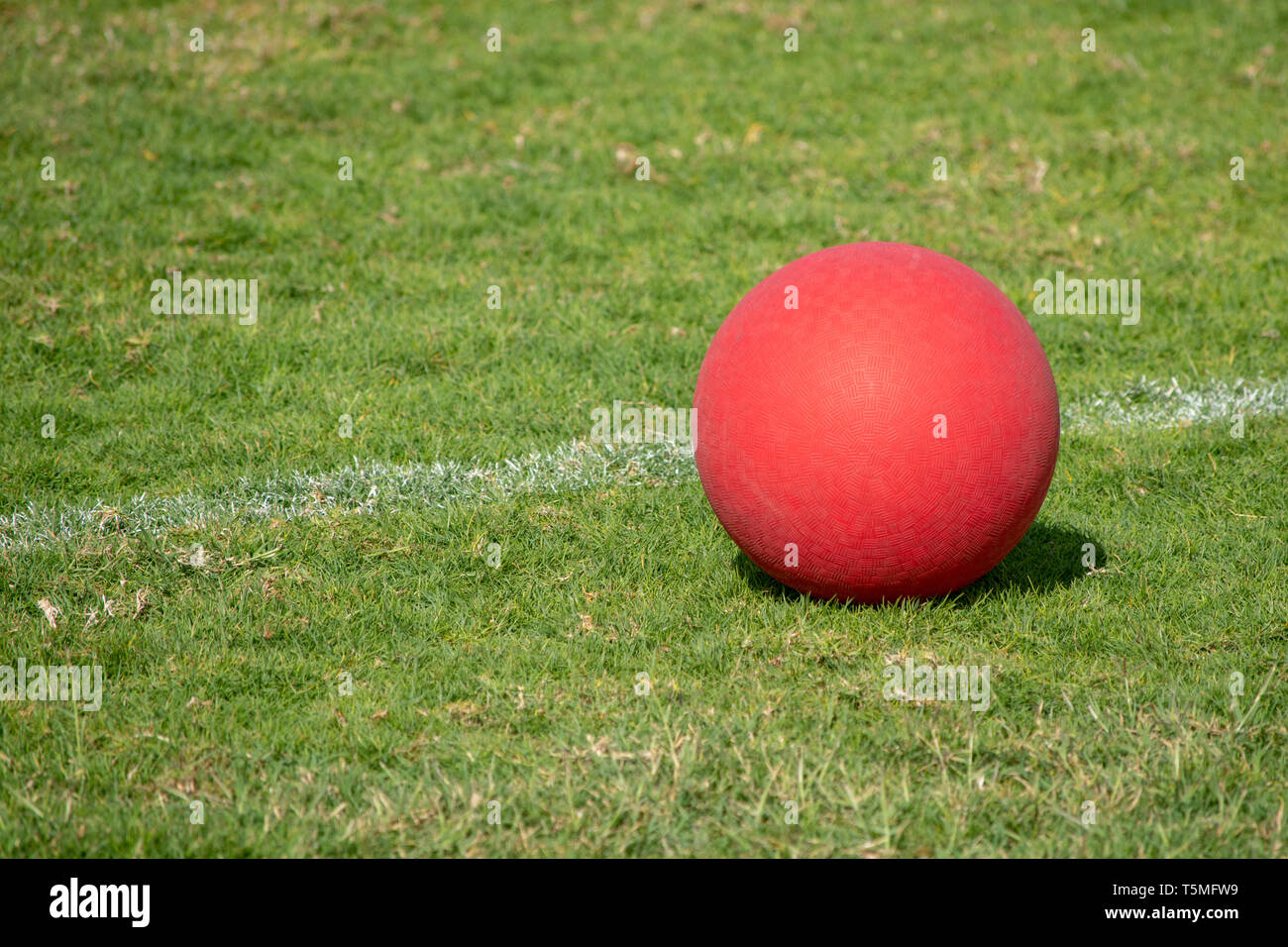 A red playground ball sits next to the white line on a green grass ...