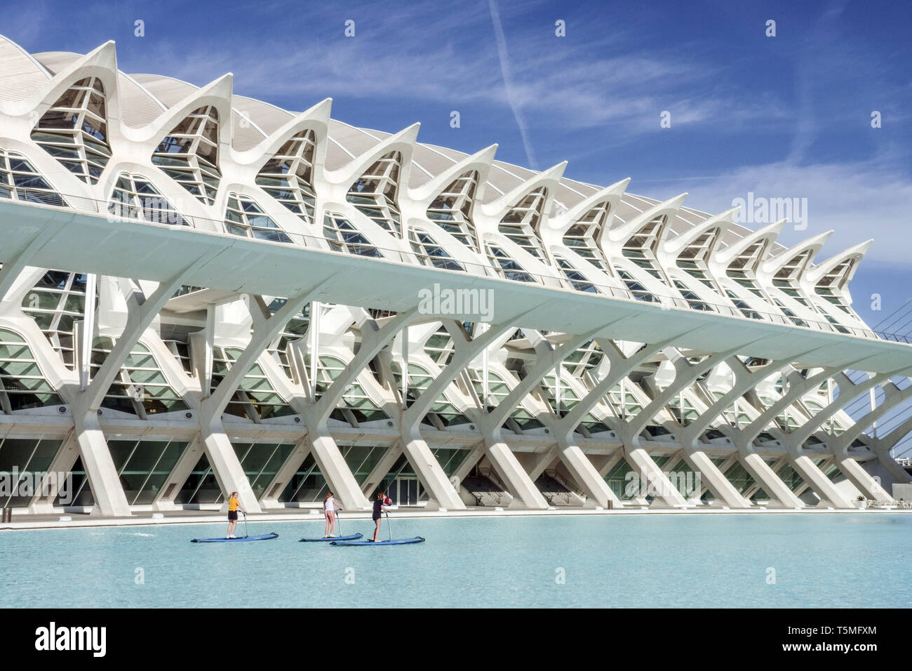 Valencia Prince Felipe Museum of the Sciences futuristic architecture ...