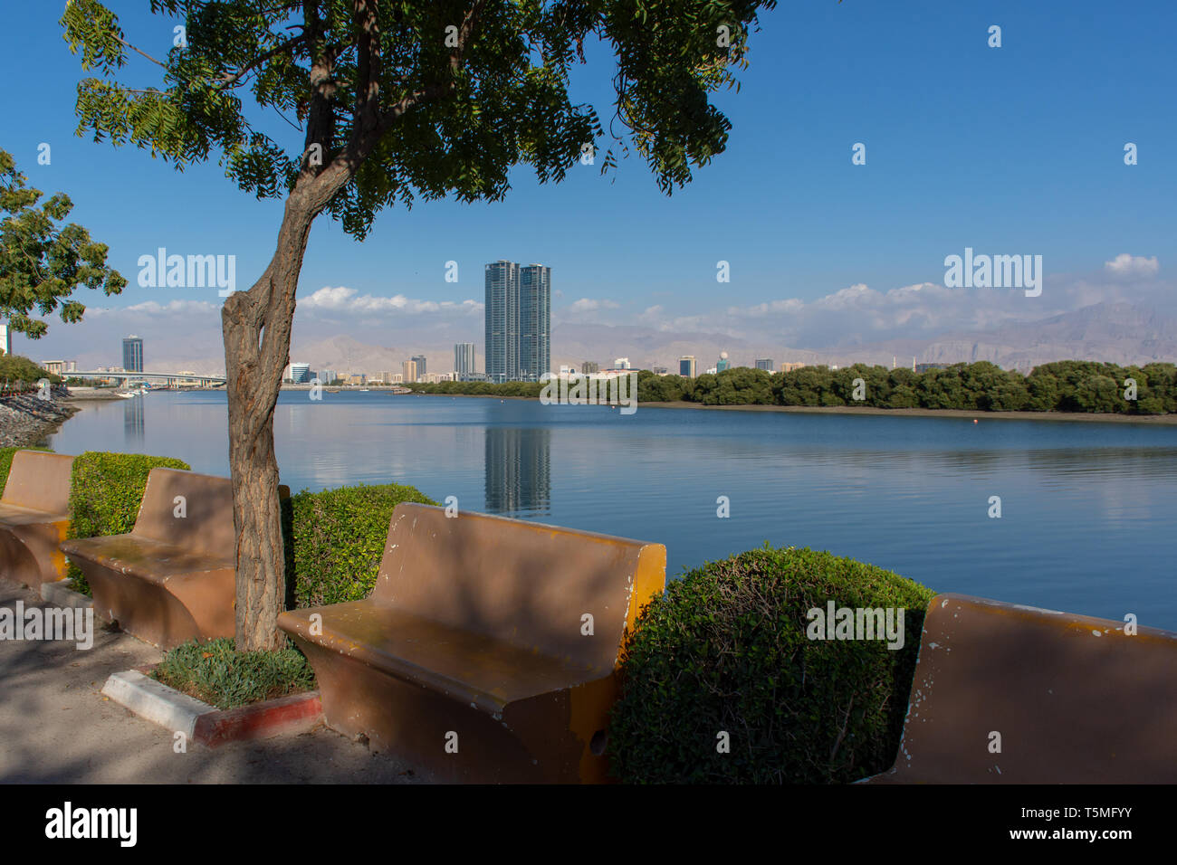 Looking past the trees towards Julphar Towers and Jebal Jais in Ras al ...