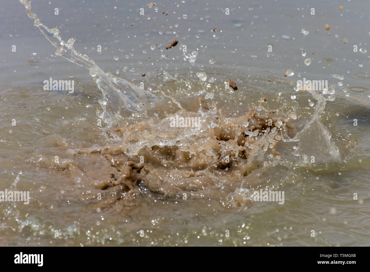 Dirty water splash in a muddy pool of water on the street. Design ...
