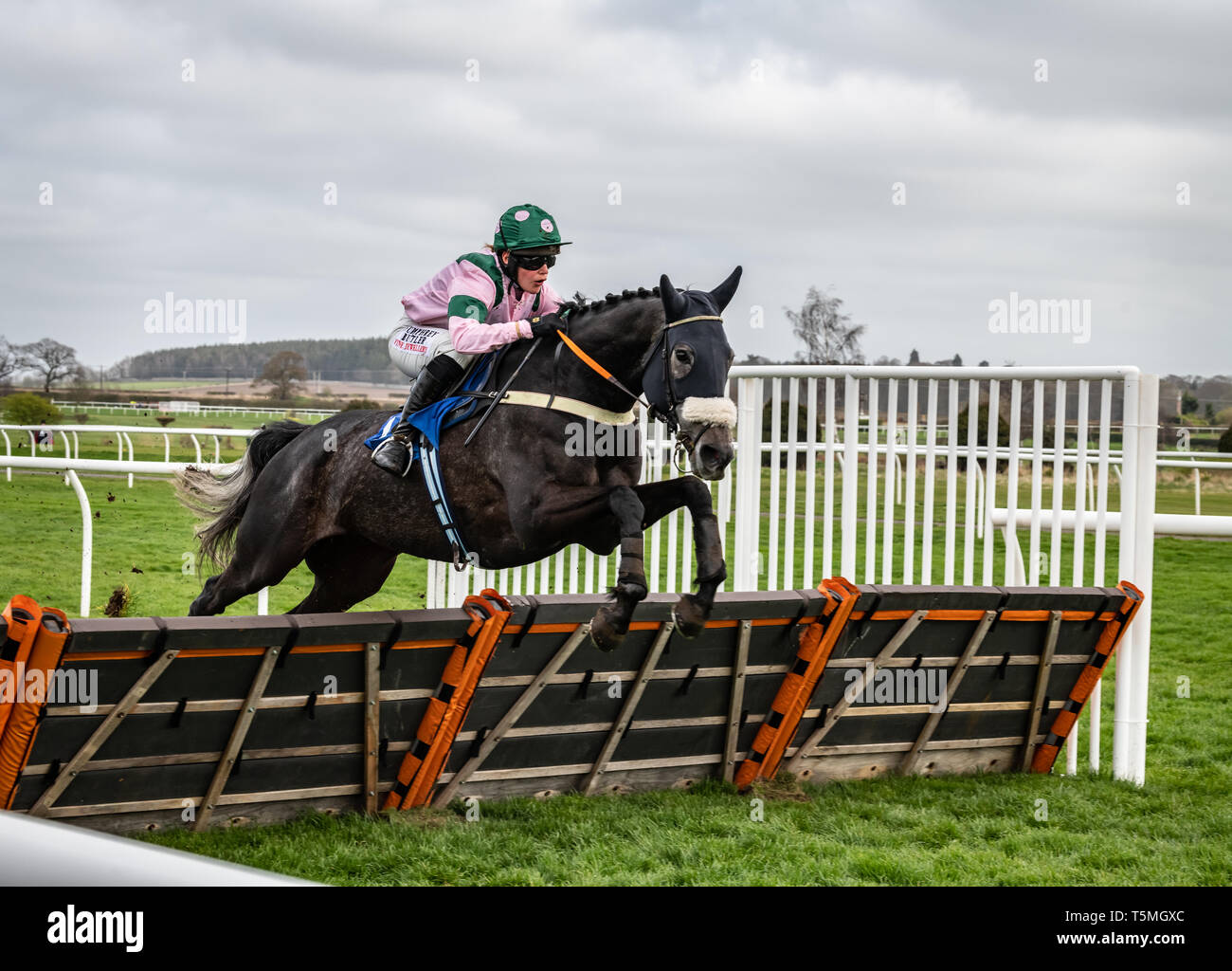 Kelso races hi-res stock photography and images - Alamy