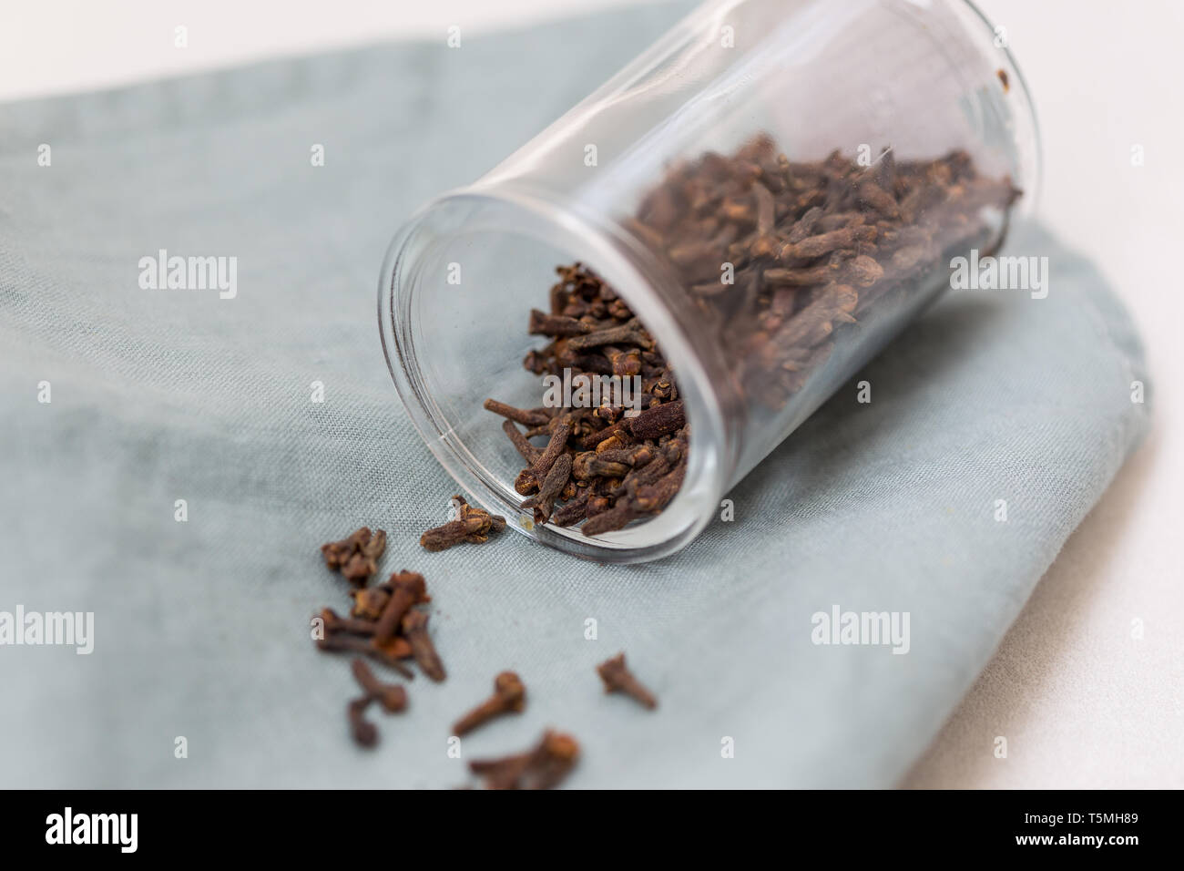 Fennel plant container hi-res stock photography and images - Alamy