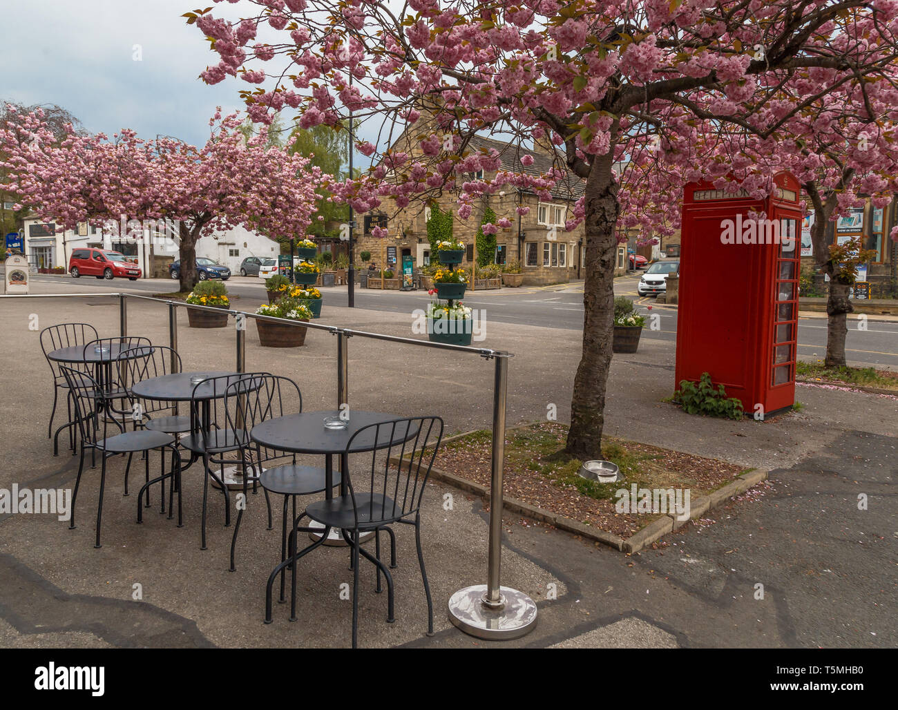 Spring blossom in Baildon, Yorkshire, Engalnd Stock Photo - Alamy