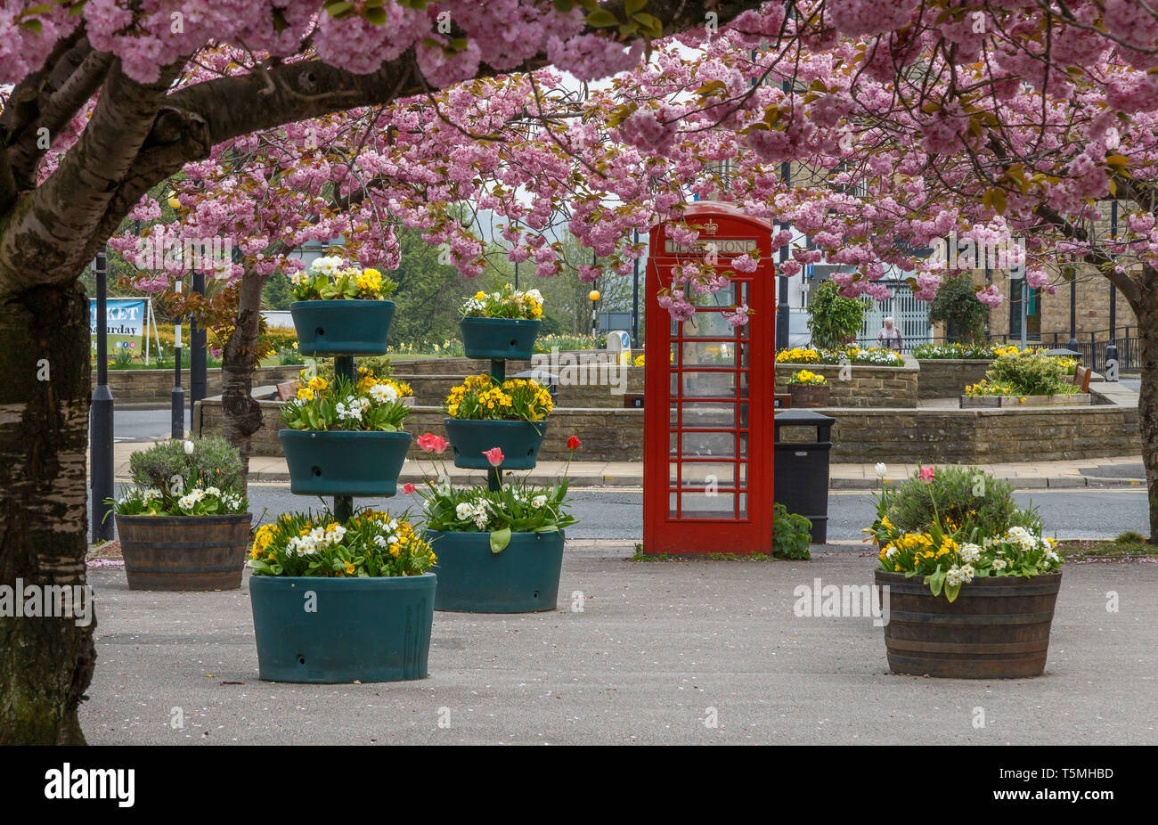 Spring blossom in Baildon, Yorkshire, Engalnd Stock Photo - Alamy