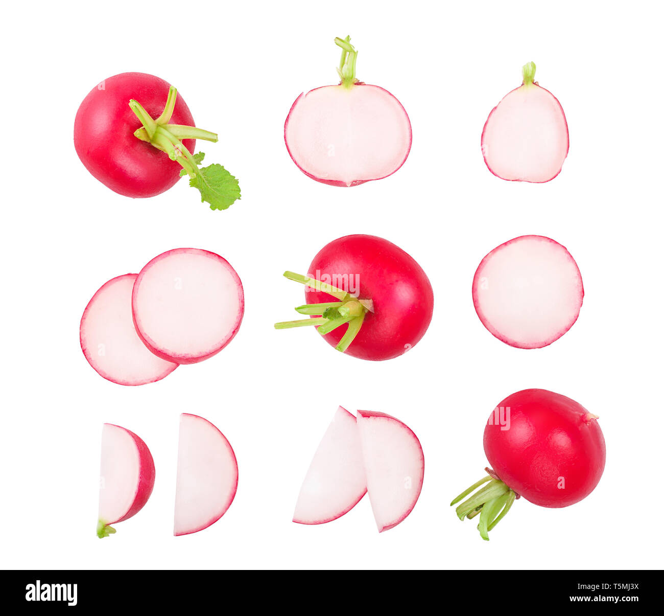 Set of fresh whole and sliced radish isolated on white background. Top ...