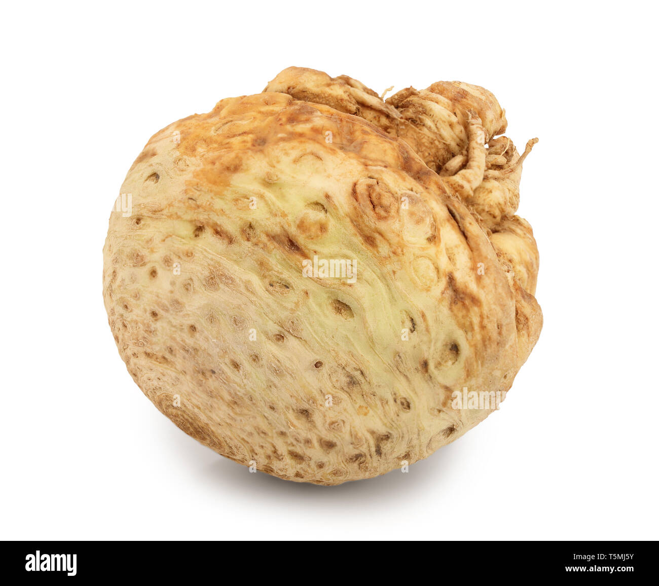Fresh celery root isolated on white background Stock Photo - Alamy