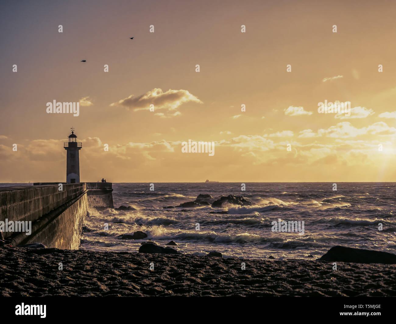 Silhouette of 19th century hexagonal lighthouse on the Douro River ...
