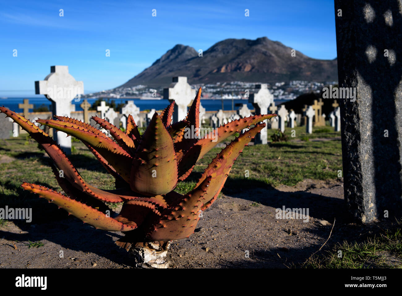 South african cemetery hi-res stock photography and images - Alamy