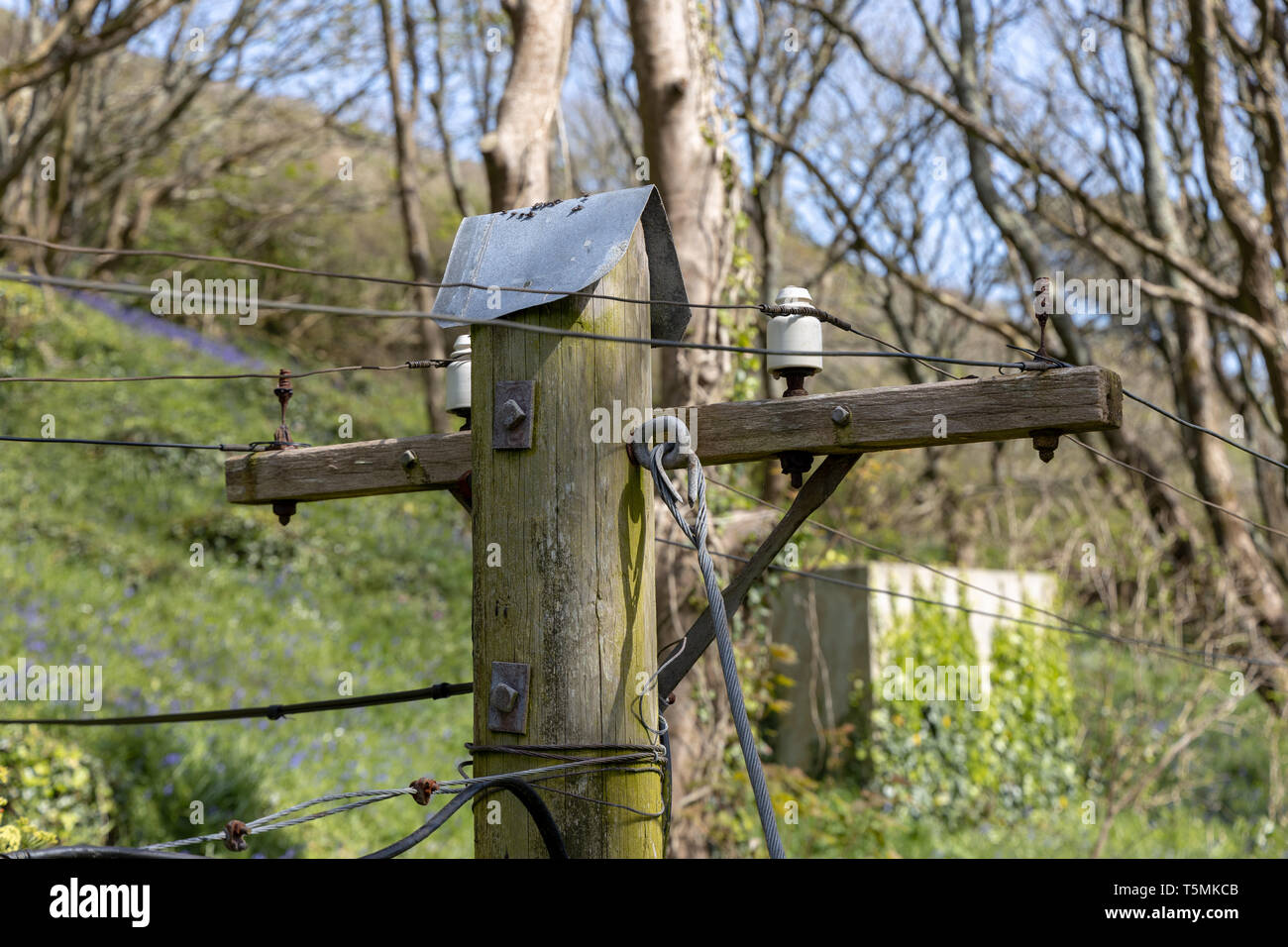 Training telegraph poles at the Telegraph Museum, Porthcurno, Cornwall ...