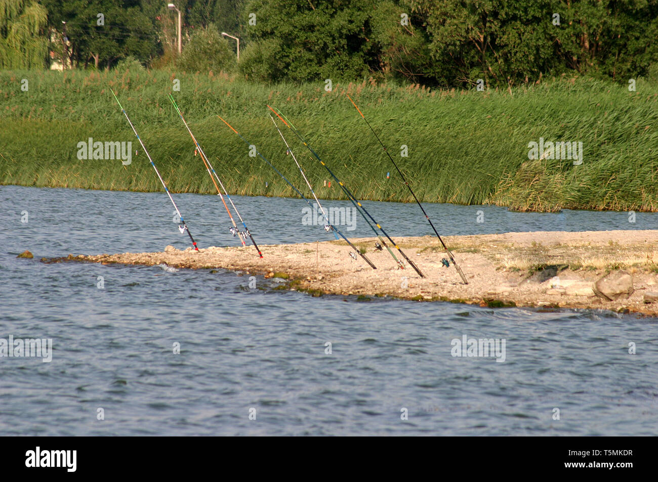 Fishing rods in lake Stock Photo - Alamy