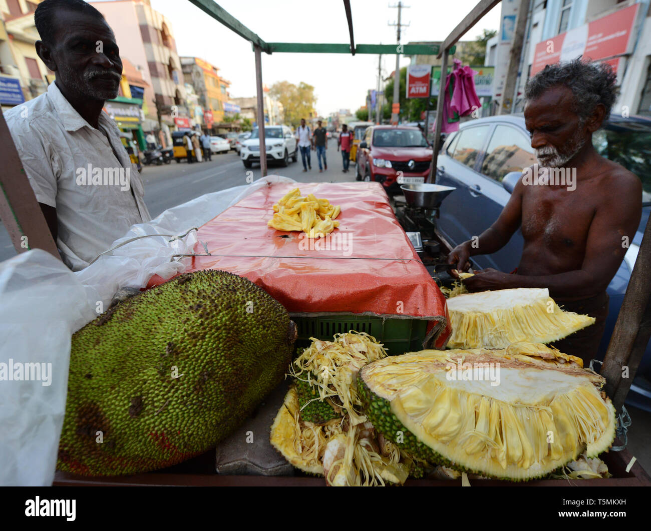 Indian jack fruit hi-res stock photography and images - Alamy