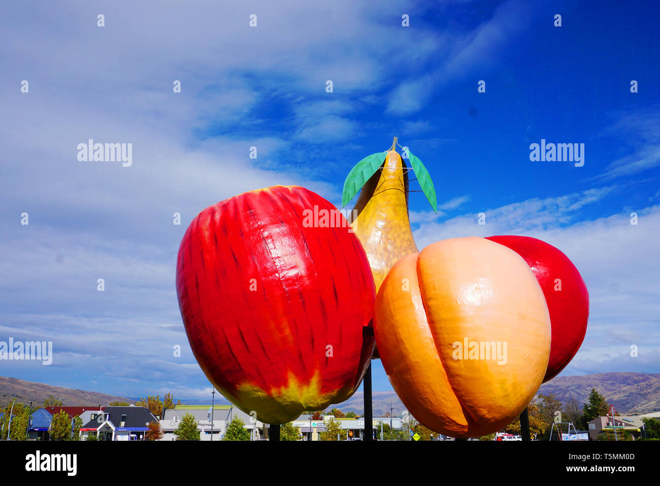 Apple Pear Cherry Apricot stone fruit symbol in center of Cromwell ...