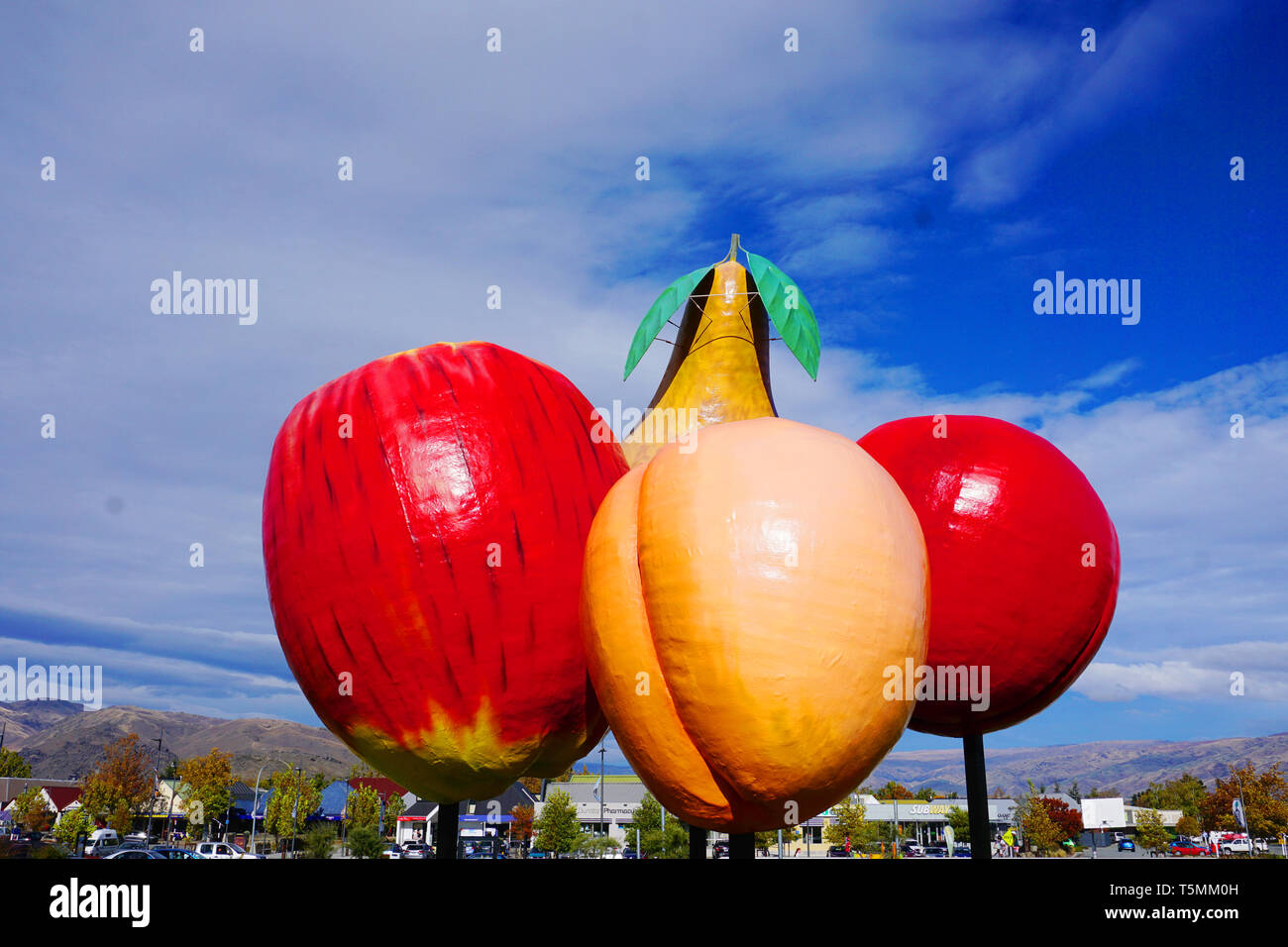 Apple Pear Cherry Apricot stone fruit symbol in center of Cromwell ...