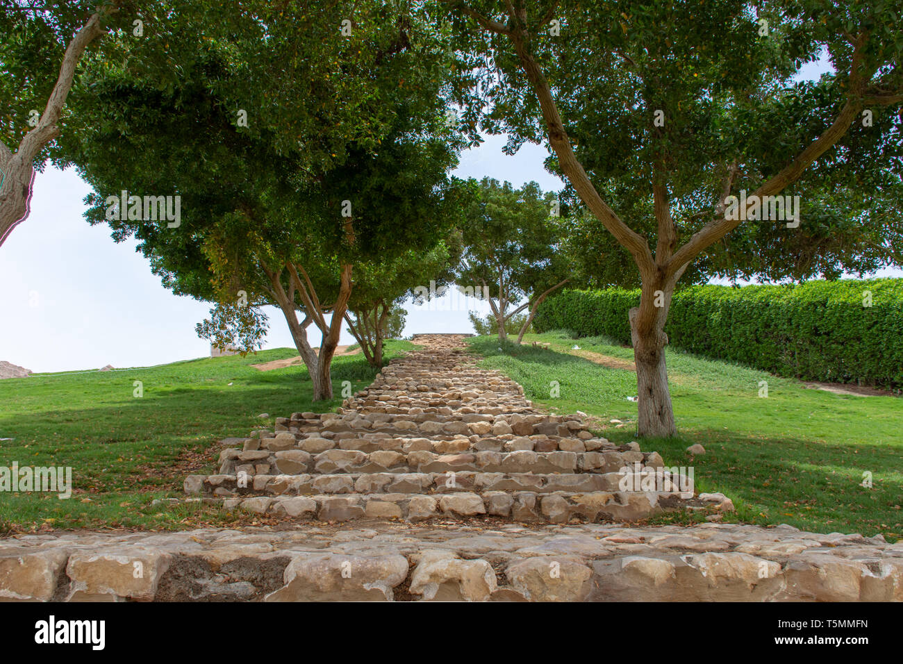 Green mubazzarah park hi-res stock photography and images - Alamy