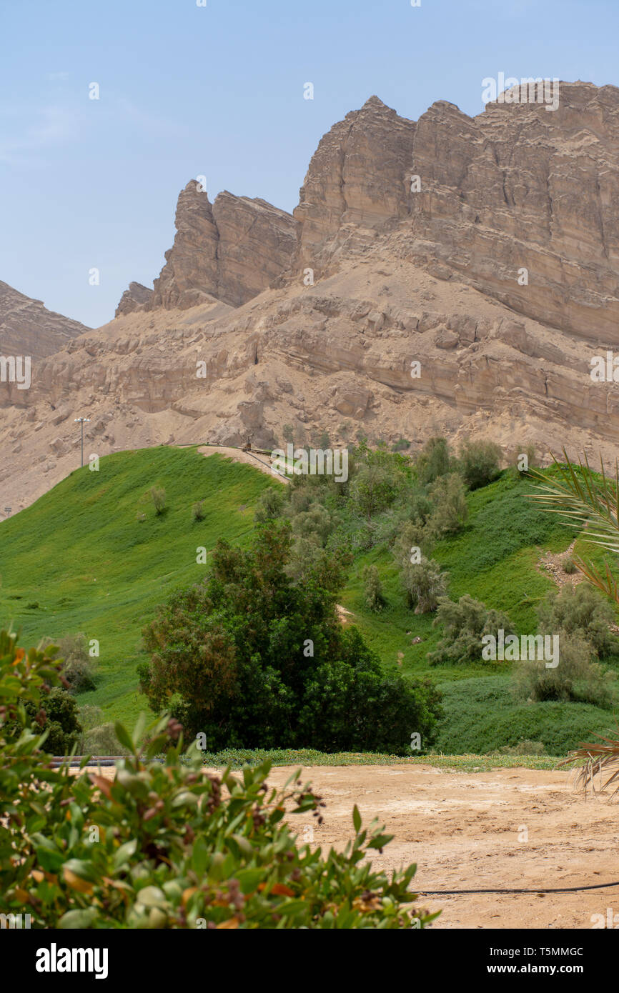 Green mubazzarah park hi-res stock photography and images - Alamy