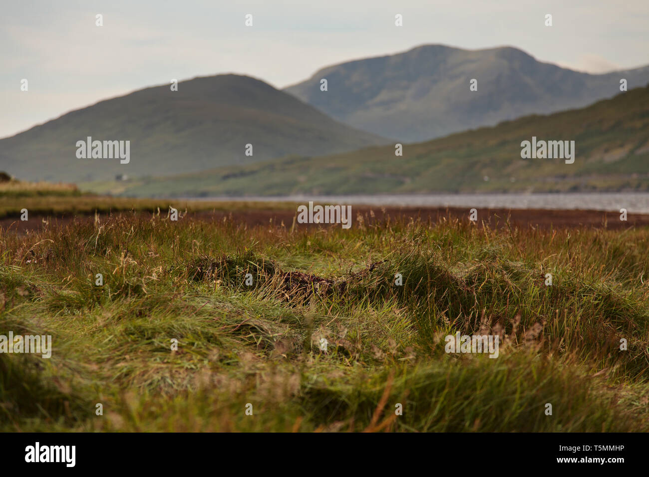 Green grass of Connemara on Ireland's West coast Stock Photo - Alamy