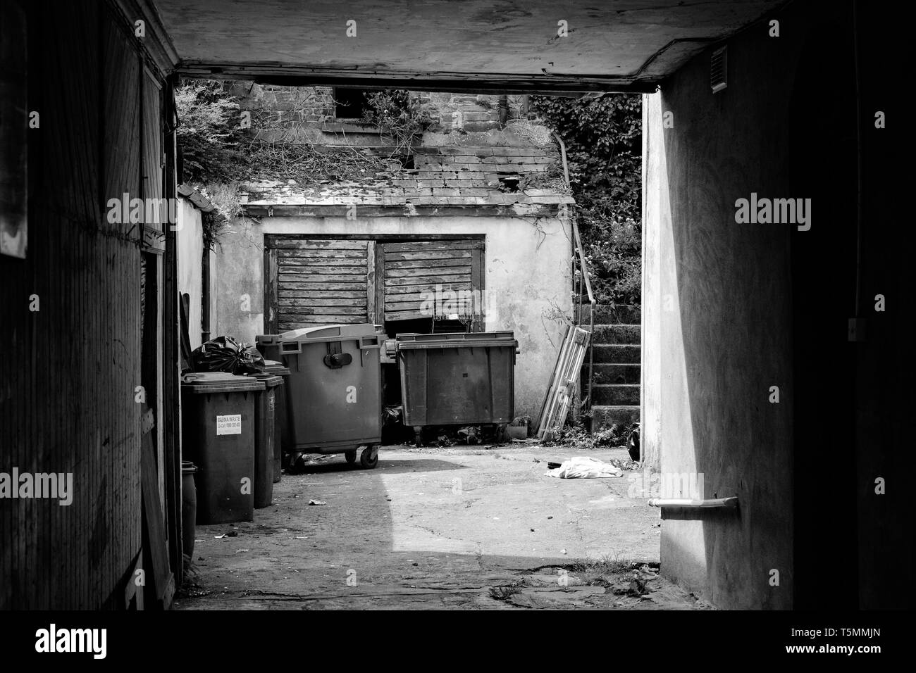 Black and white photo of some rubbish bins in a yard Stock Photo - Alamy