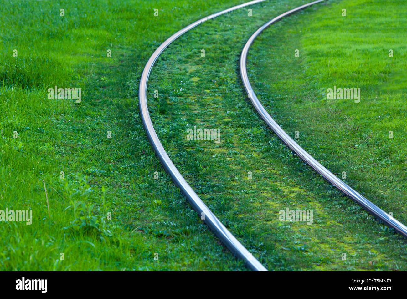 Tram rails covered with green grass lawn in Bilbao, Spain Stock Photo ...