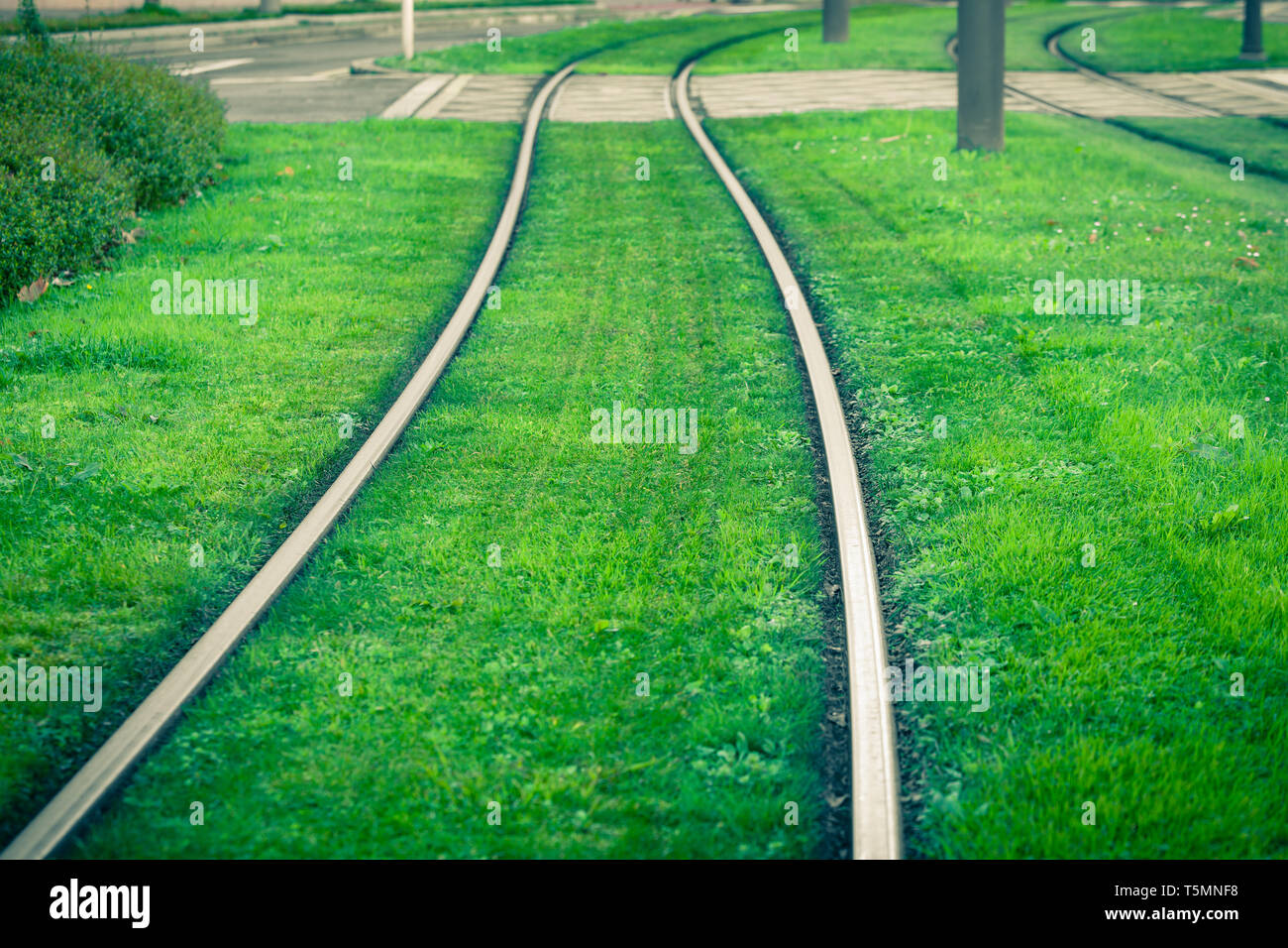 Tram rails covered with green grass lawn in Bilbao, Spain Stock Photo ...