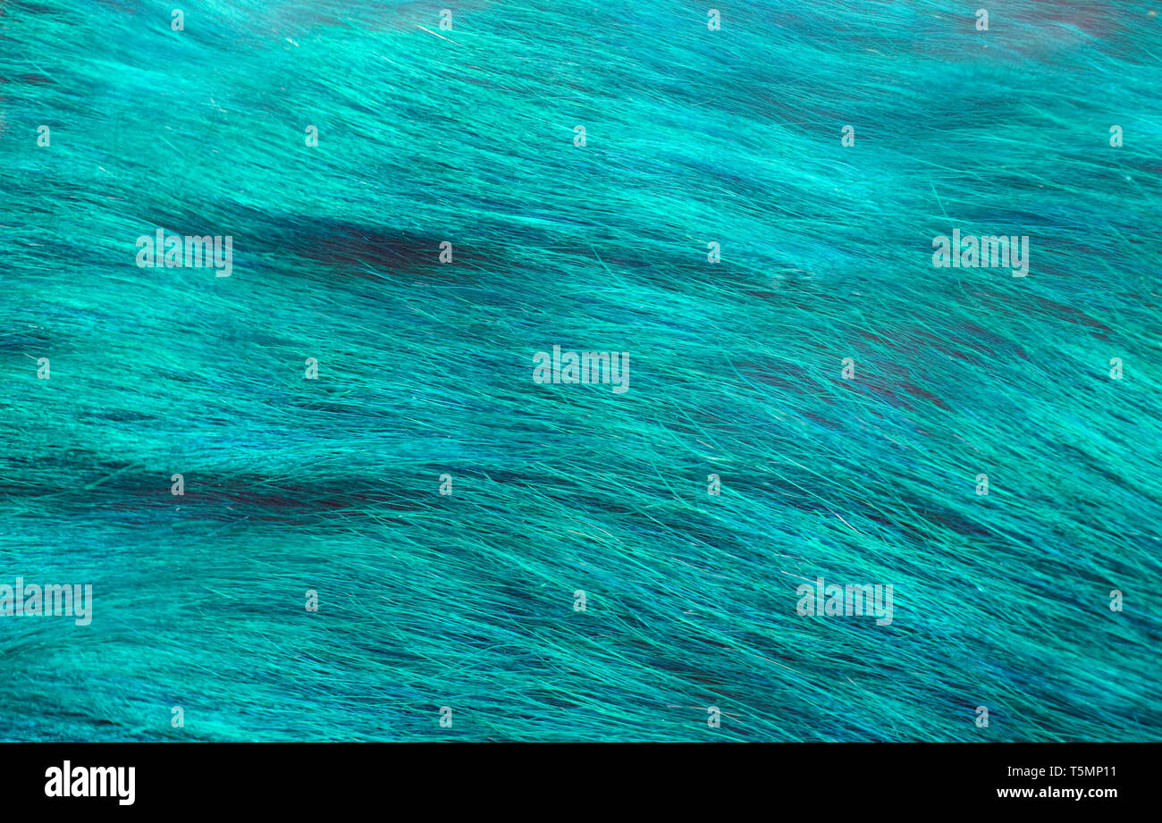 Abstract backgrounds in vibrant color. Vibrant image in blue colour ...