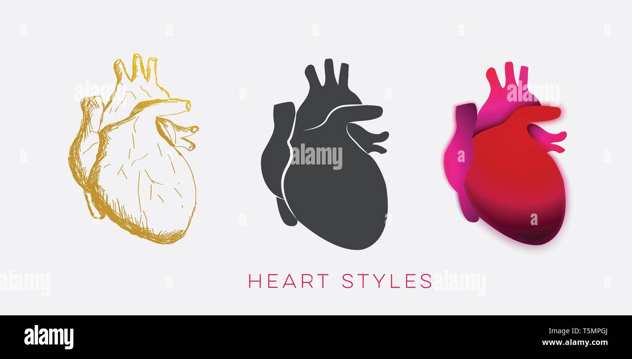 hearth body illustration in three style design vector template Stock ...