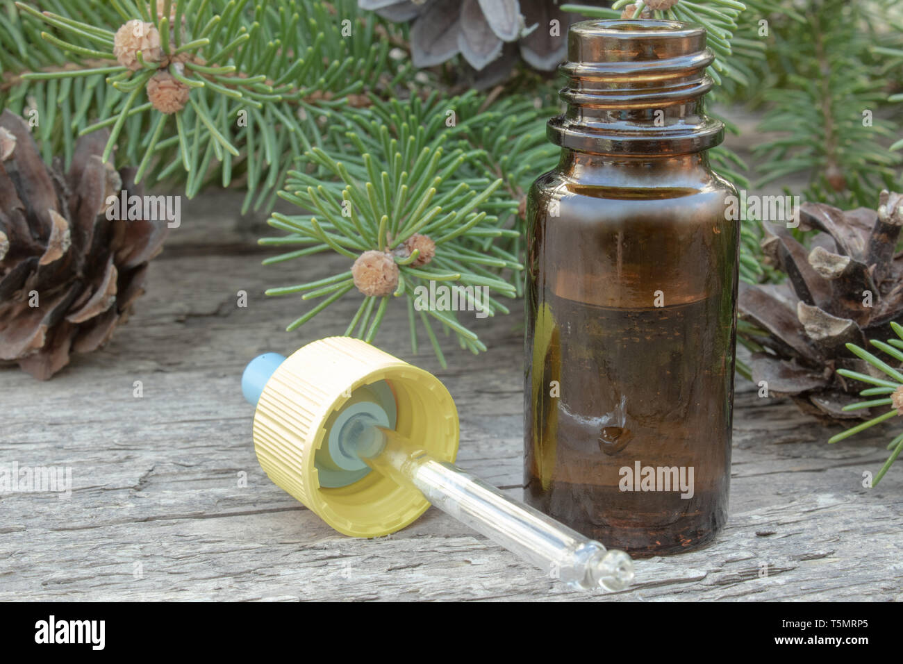Extract pine tar hi-res stock photography and images - Alamy