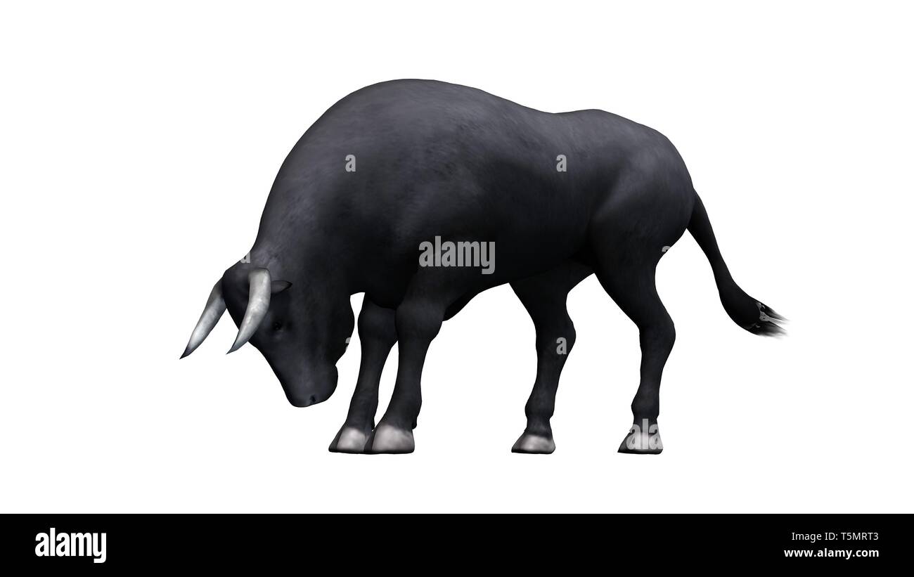 Grazing bull on pasture Cut Out Stock Images & Pictures - Alamy